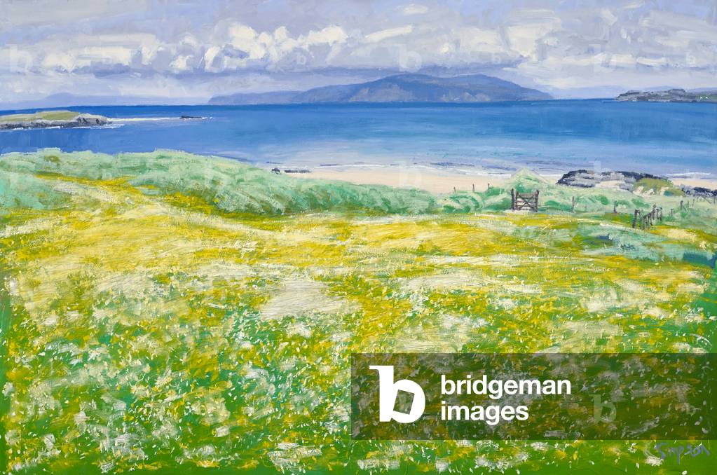 Image of Machair, North End Iona, 2015 (oil on canvas) by Simpson ...