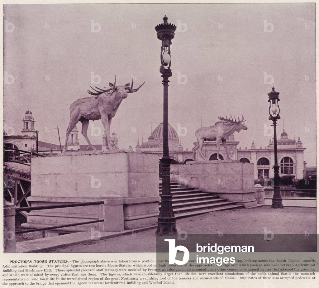 Image of Chicago World's Fair, 1893: Proctor's Moose Statues (b/w photo ...