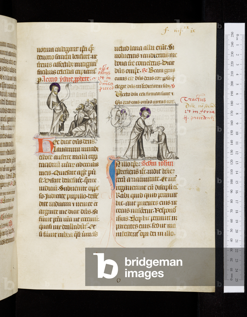 Image of The Franciscan Missal, 1340-1360 (illuminated manuscript) by ...