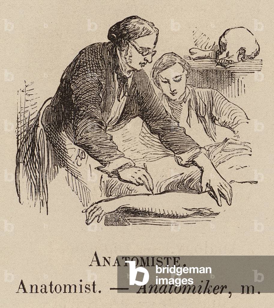 Image of Le Vocabulaire Illustre: Anatomiste; Anatomist; Anatomiker ...