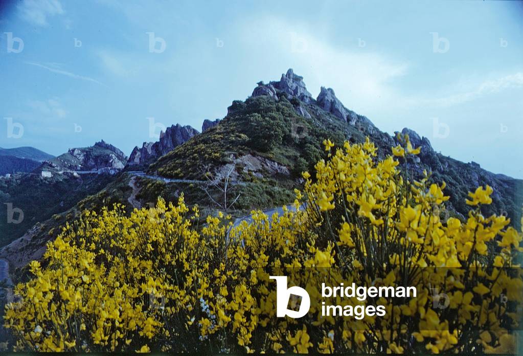 Image of Landscape of Lucania, Italy, 1970 (photo)