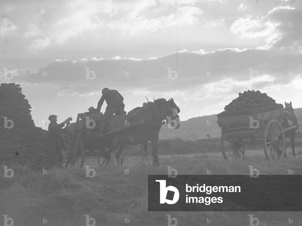 Image of A view of cut peat being loaded onto the back by Hardman ...