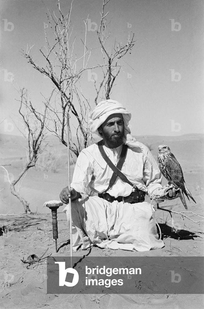 Image of Seated portrait of Sheikh Zayed bin Sultan Al Nahyan with by ...