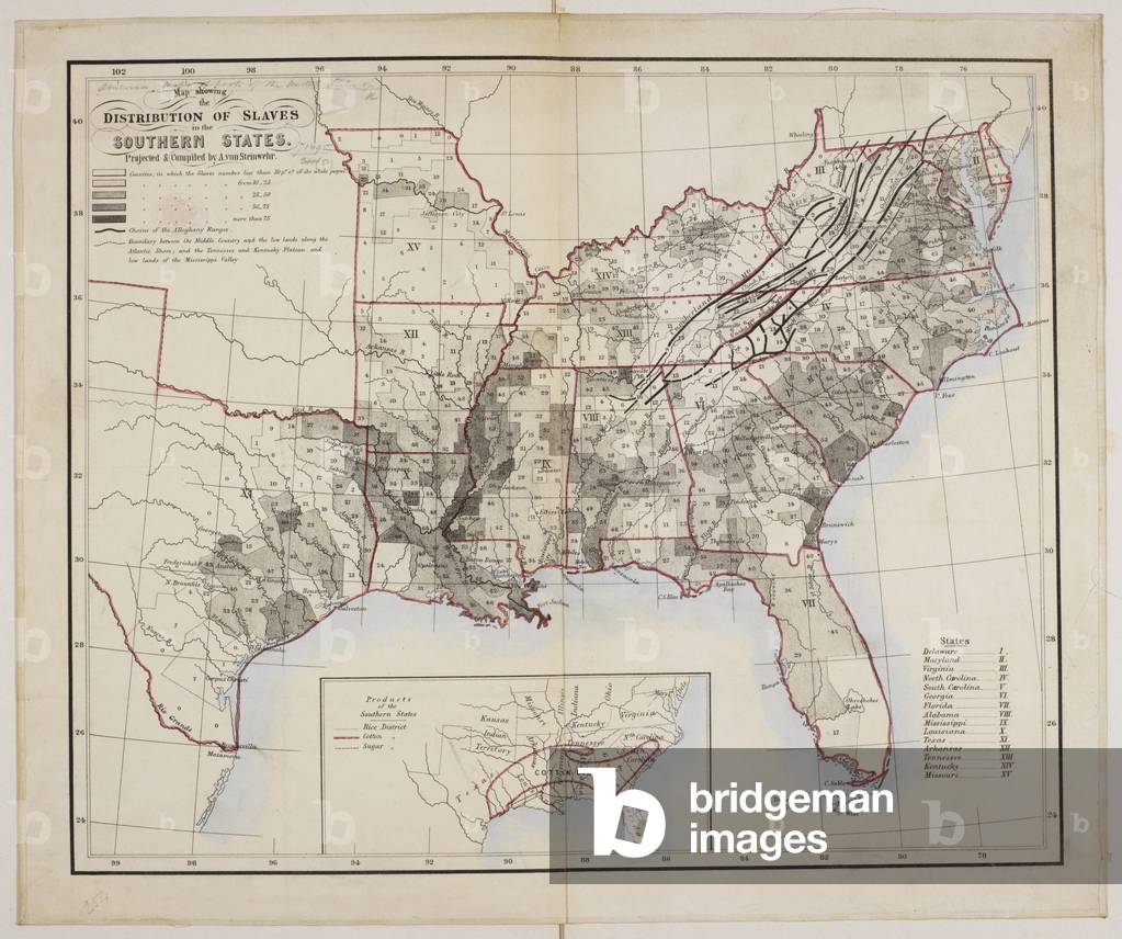 Image of A map showing the distribution of slaves in the Southern