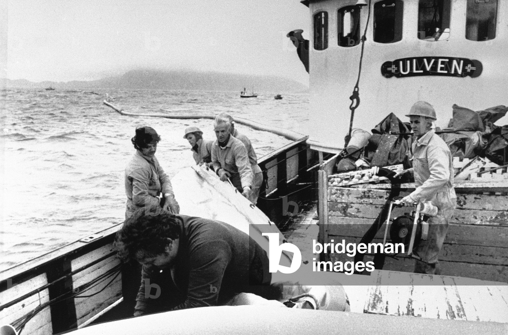 Image of Round June 10, 1981. Oilens are laid out to collect