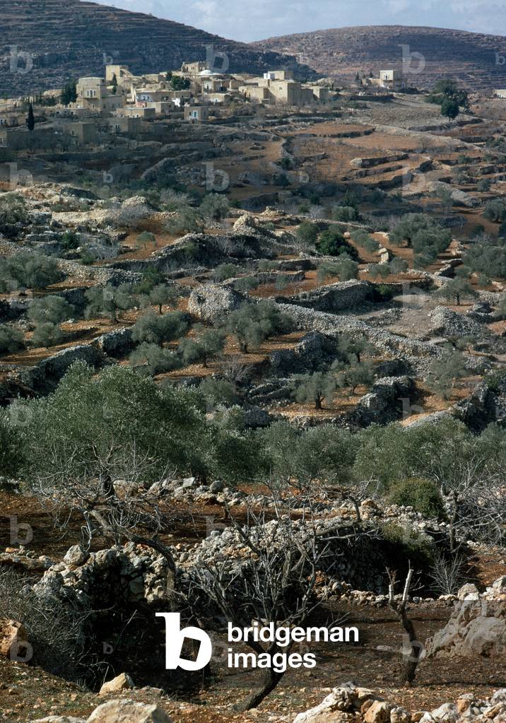 Image of Bethlehem (photo)
