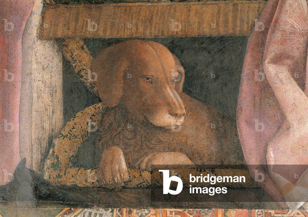 Image of Decoration of the Camera degli Sposi (Camera Picta), 1465 - by ...