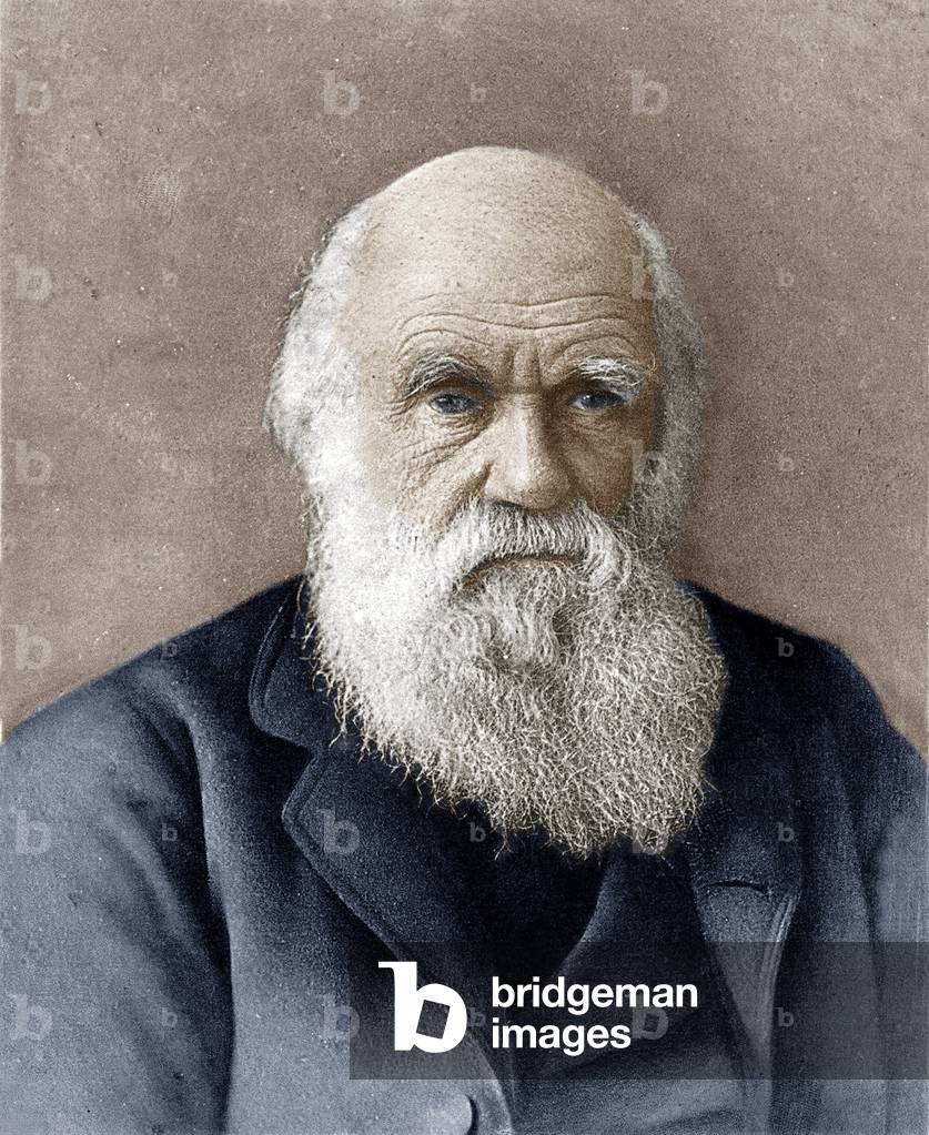 Robert Darwin's Instagram, Twitter & Facebook on IDCrawl