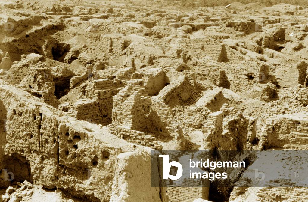 Real Hanging Gardens Of Babylon Ruins