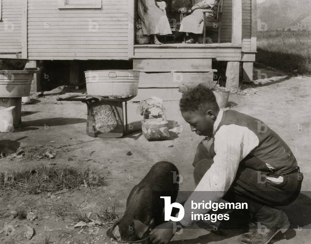 Image of George Cox, 13 year old colored boy, has just joined by Hine ...