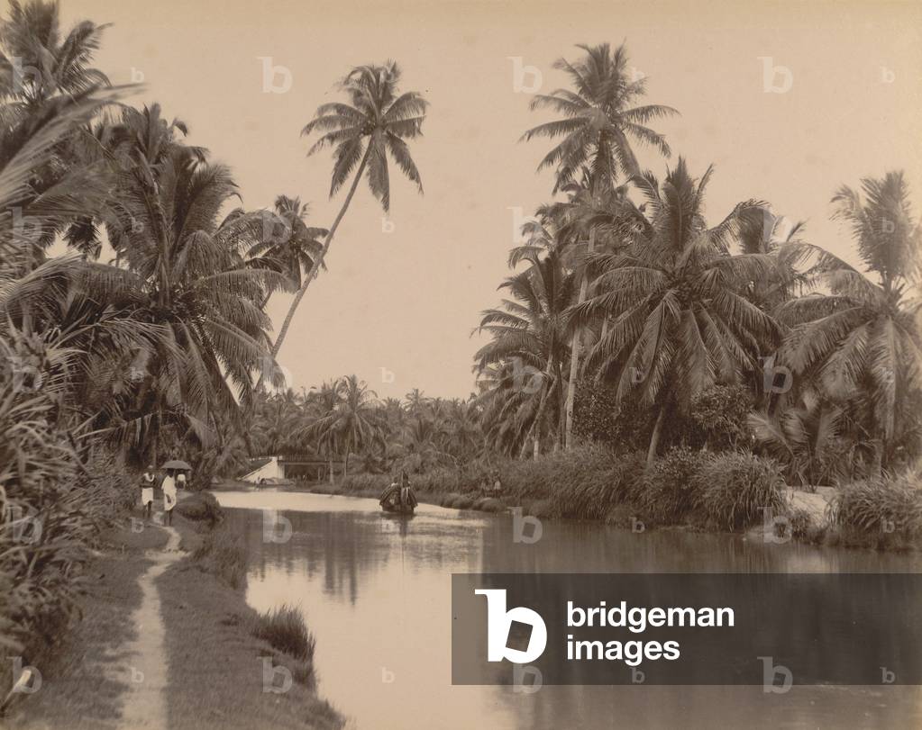 Image of View near Chavara, Kerala, Album of South Indian Views, c.1900