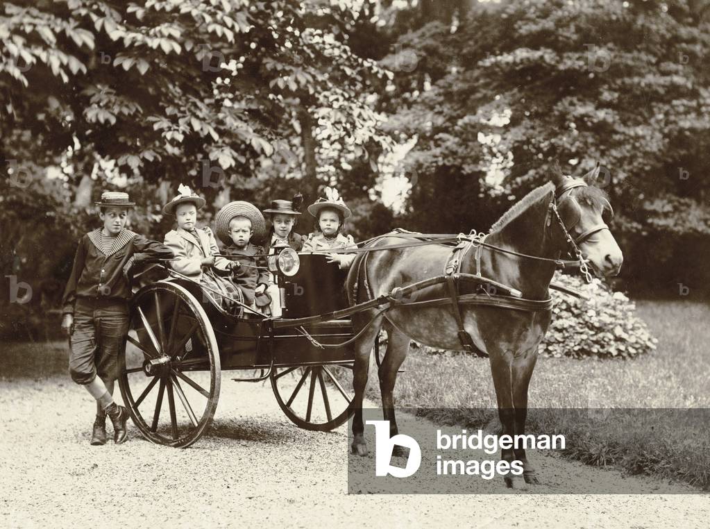 Image of Children in a horse-drawn carriage (b/w photo)