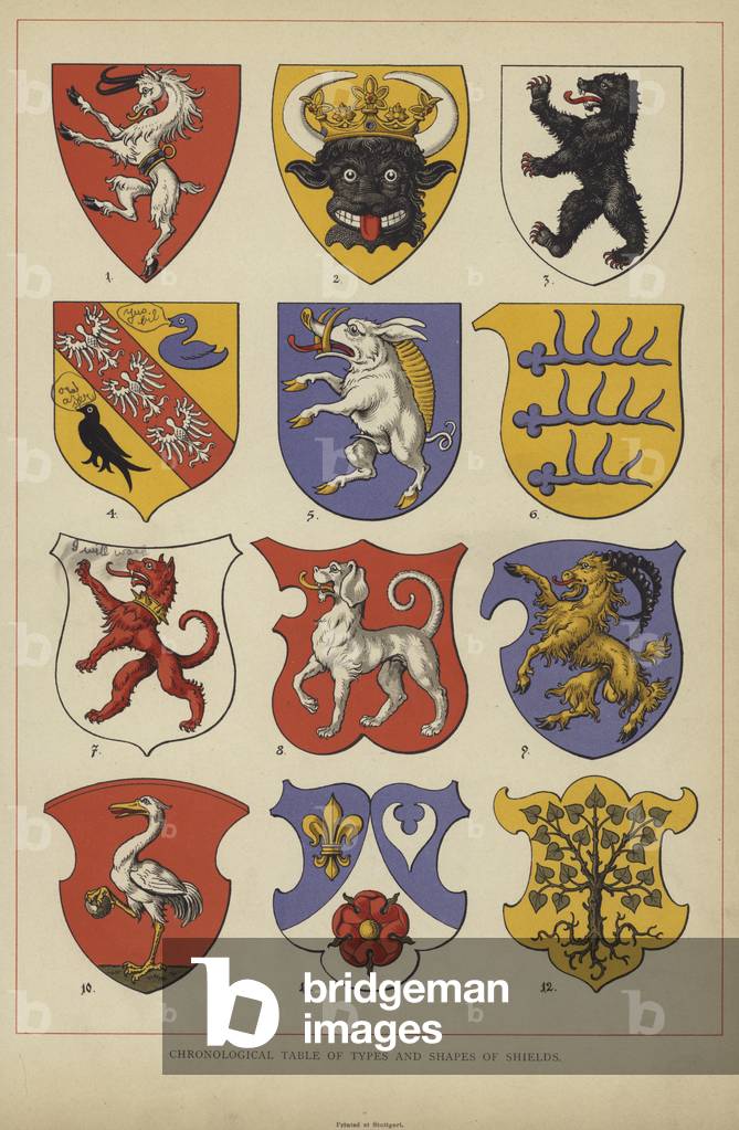 Coat Of Arms Shield Types