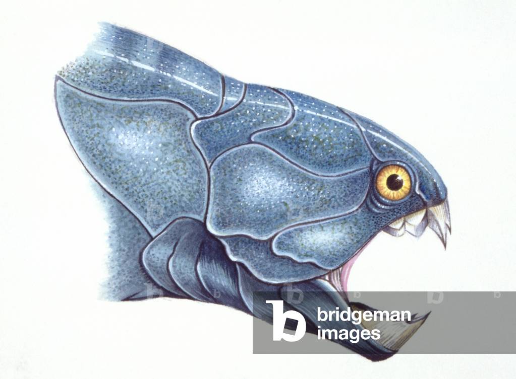 Devonian Period Reptiles