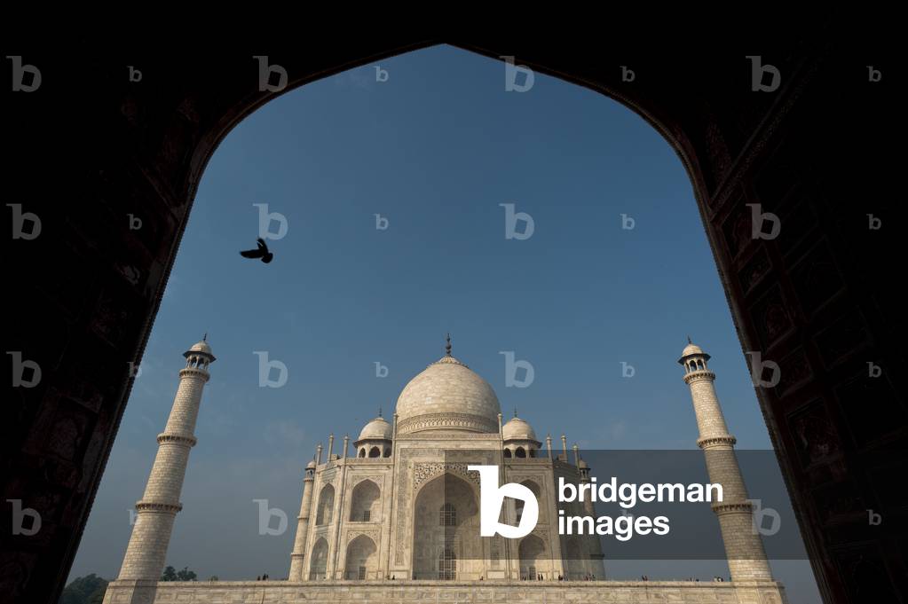 Image of Silhouette of pigeon flying into doorway in front of Taj