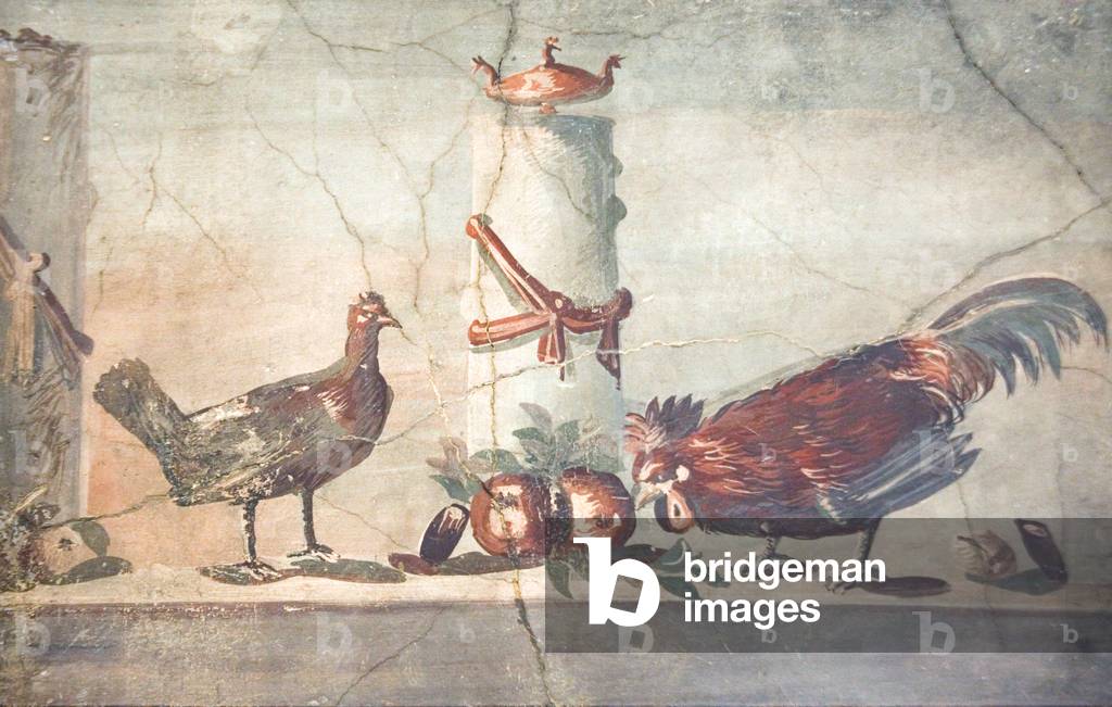 Image of Rooster and Hen, from Pompeii (fresco) by Roman, (1st century AD)