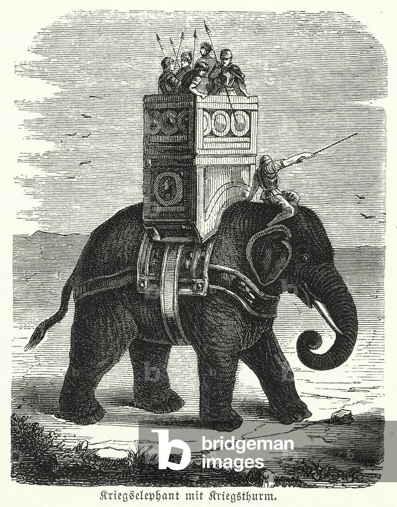 Image of War elephant (engraving) by German School, (19th century) (after)