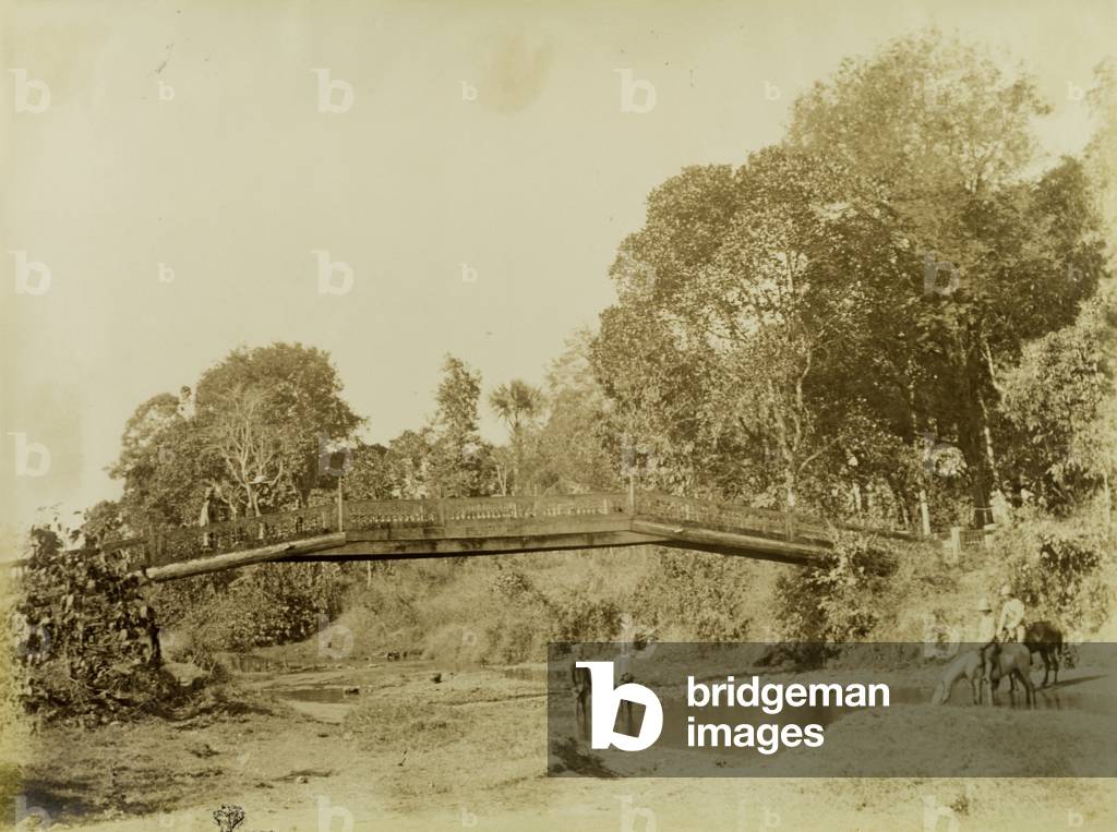 Image of Wolseley and Smyth at Wuntho, c.1891 (b/w photo) [2003/001/001/30]