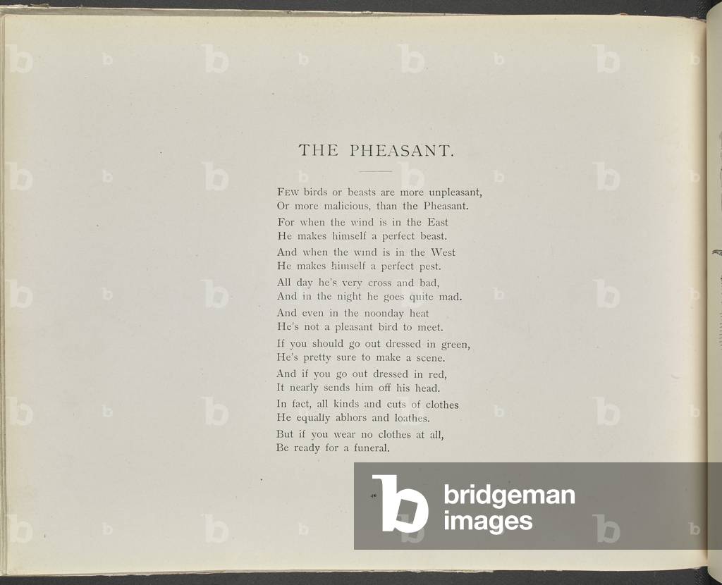 Image of Poem: The pheasant.