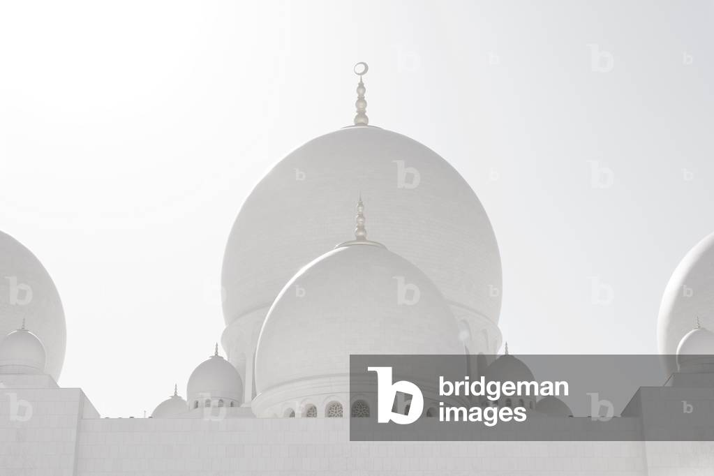 Image of Sheikh Zayed Grand Mosque landscape#1, 2015 (photography) by ...