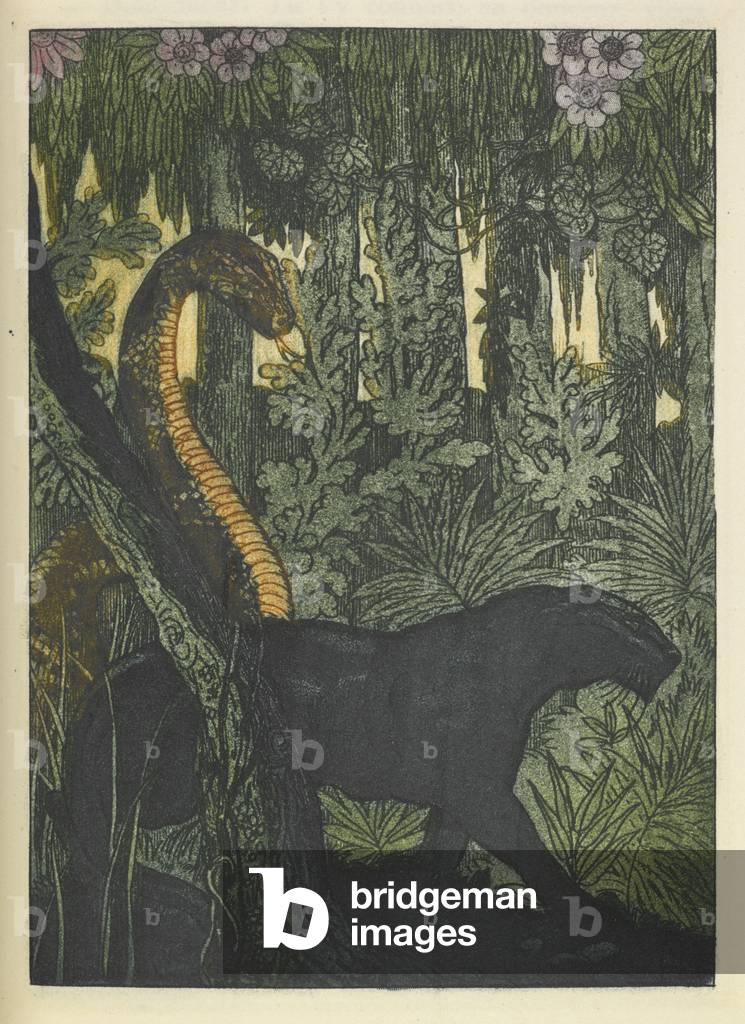 Image of The python, Kaa and the panther, Bagheera.