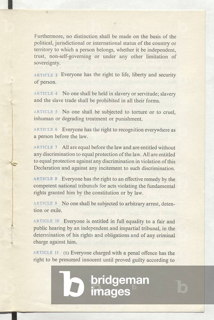 Image of Universal Declaration of Human Rights. Born out of World War II,
