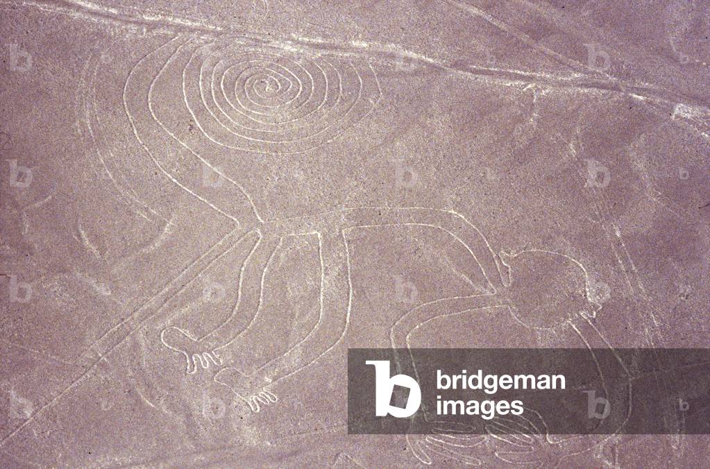 Image of Nazca Lines, Monkey, Peru (photo)