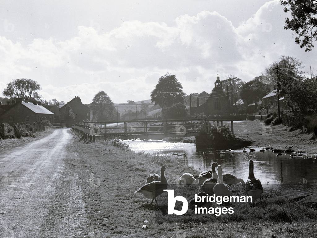 Image of A view of a stream, geese, buildings and what appears by ...