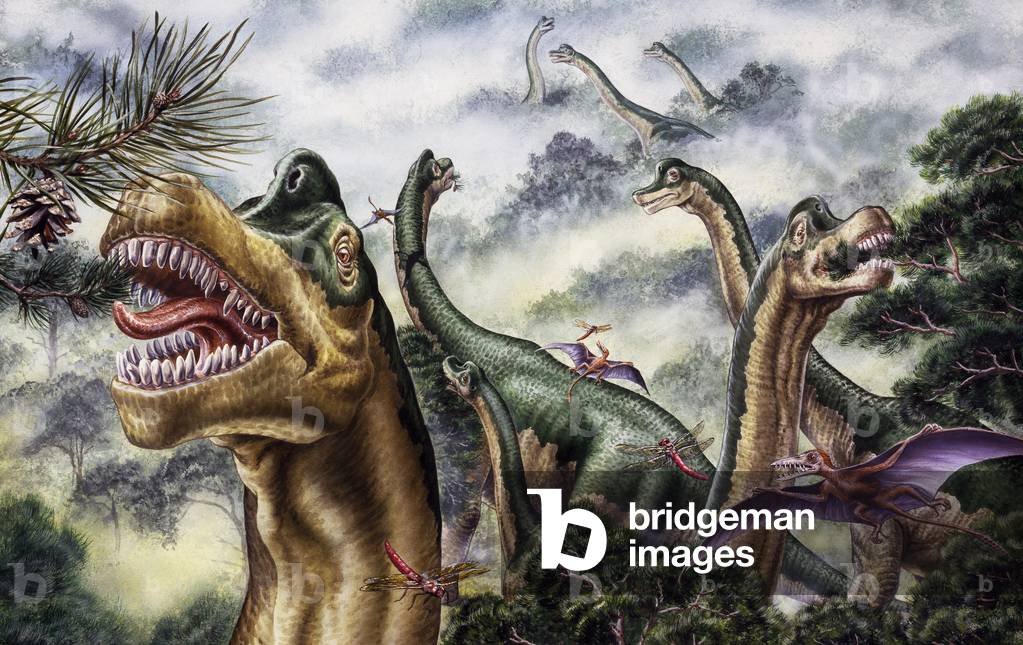 Image of Ultrasauros macintoshi, Brachiosauridae, Giurassico ...