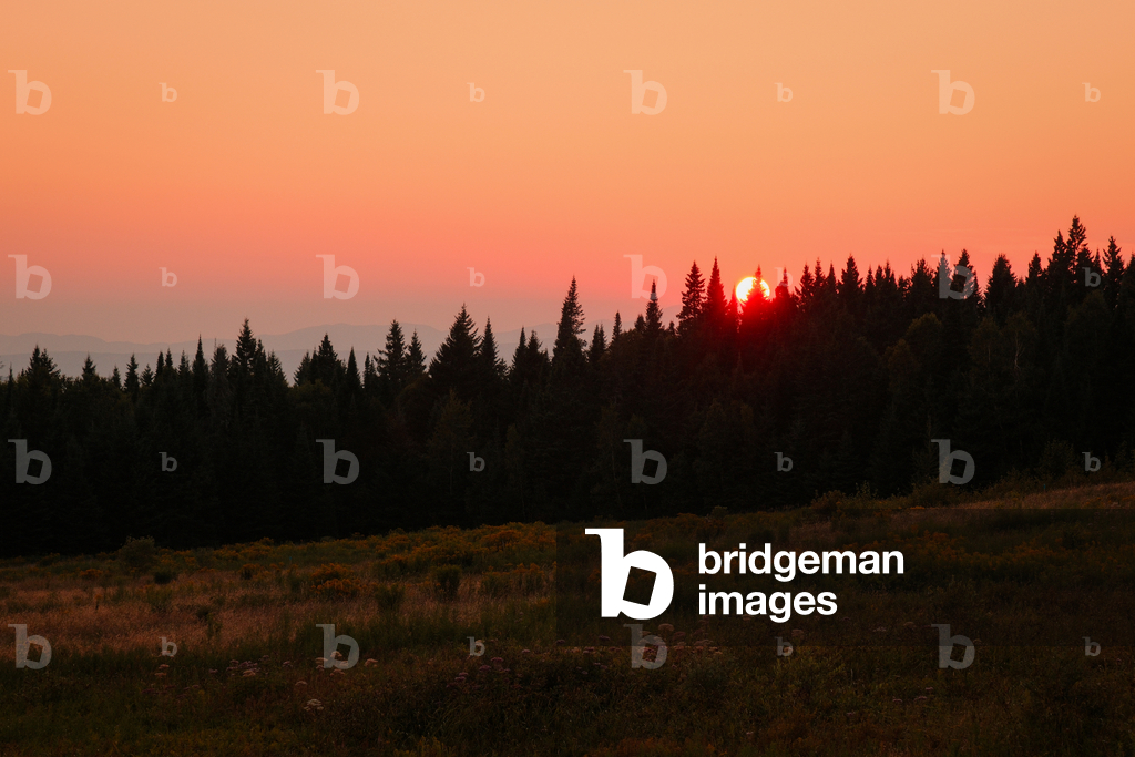Image of Sunset from Sentinel Rock, Westmore, 2025 (photo) by Bilous, Jon