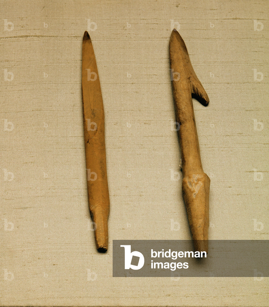 Image of Fish spear and arrowhead