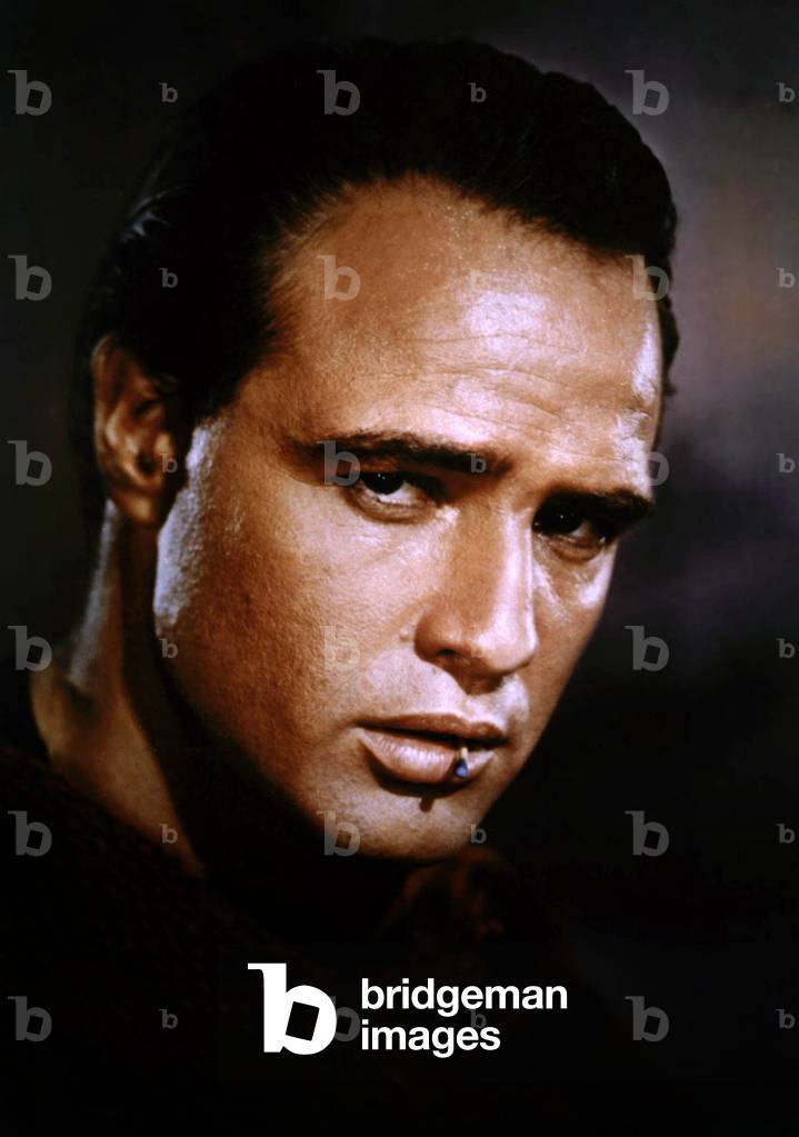Brando Model