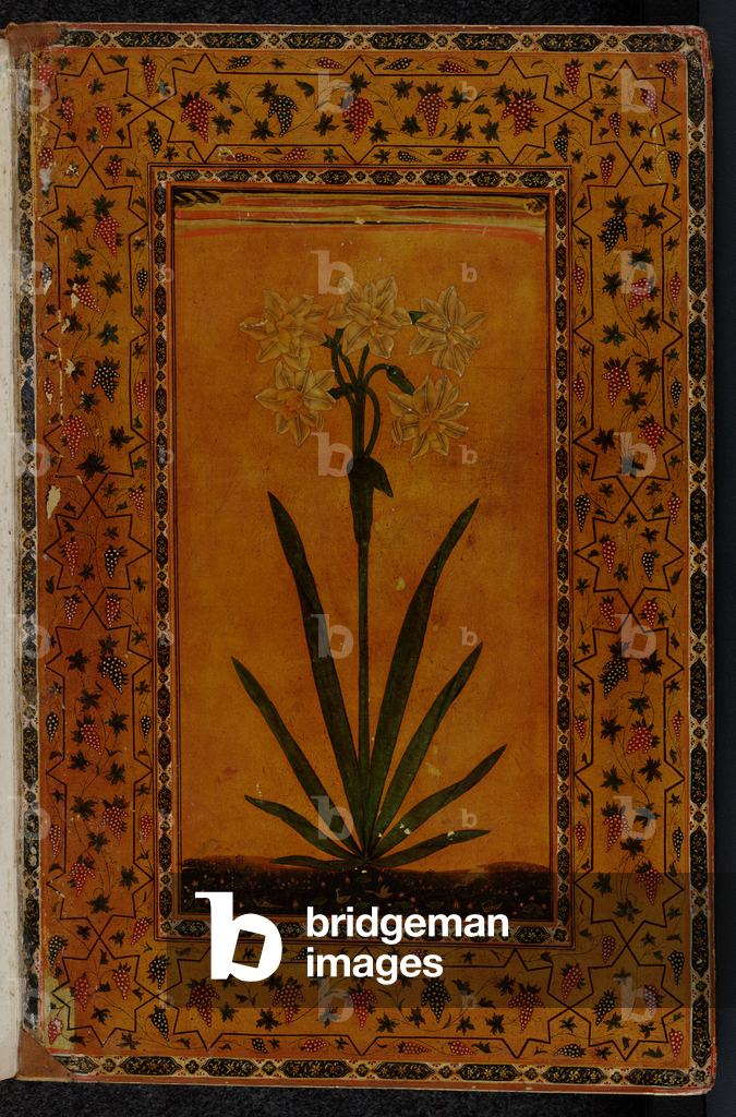 Image of Mughal Indian calligraphy, 17th century (manuscript)