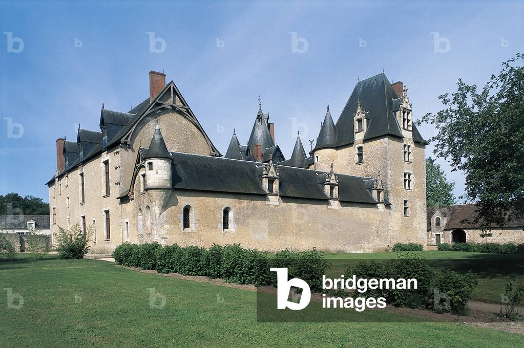 Image of Lawn in front of a castle, Chateau De Fougeres-Sur-Bievre ...
