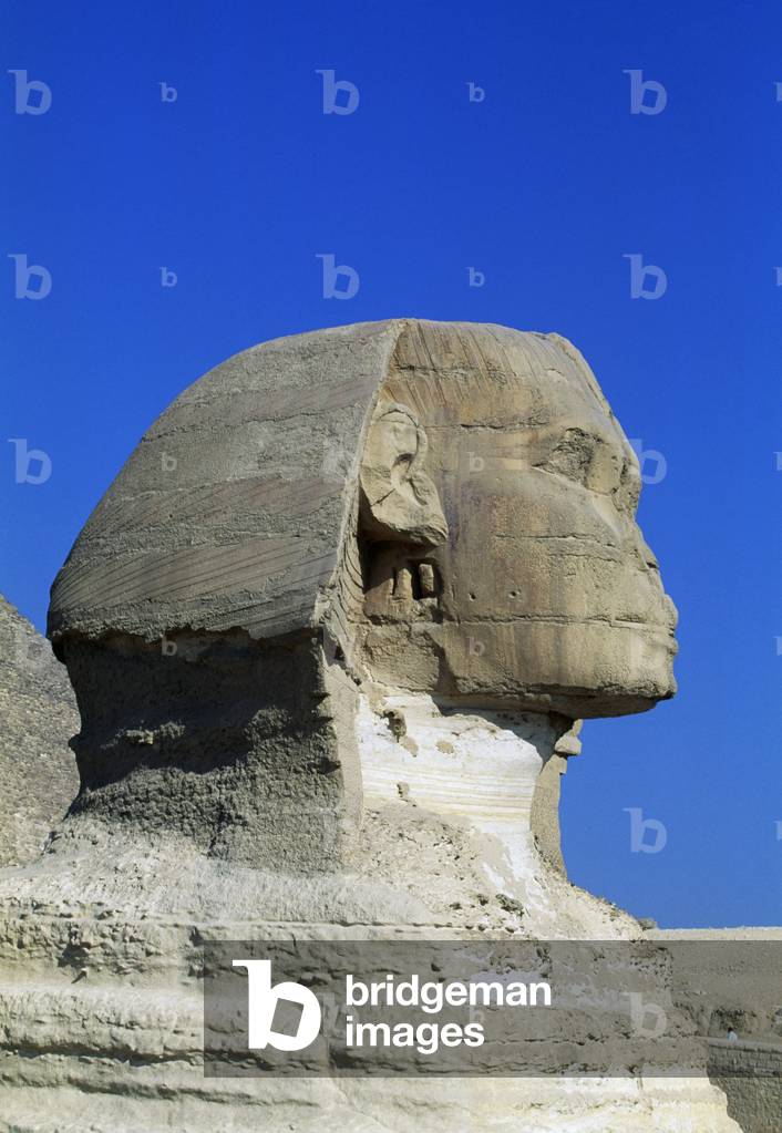 Head of Great Sphinx of Giza, Giza Necropolis, Old Kingdom, Dynasty IV by