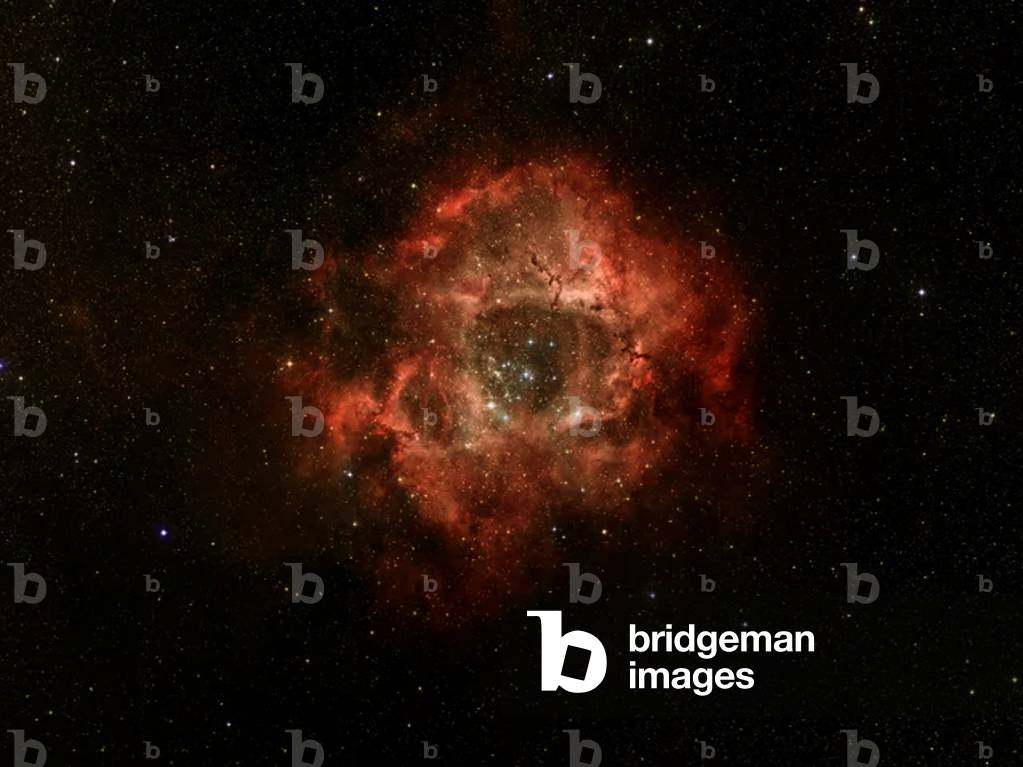 Image of The Rosette nebula, a turbulent star-forming region located ...