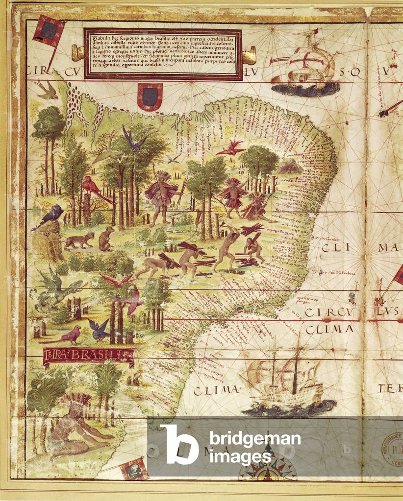 Image of Map of Brazil, from Miller Atlas by Pedro and Jorge