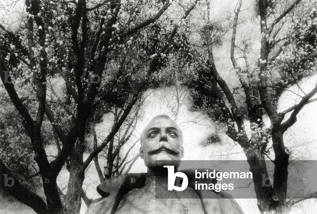 Image of Statue of Tsar Nicholas II in the grounds of the
