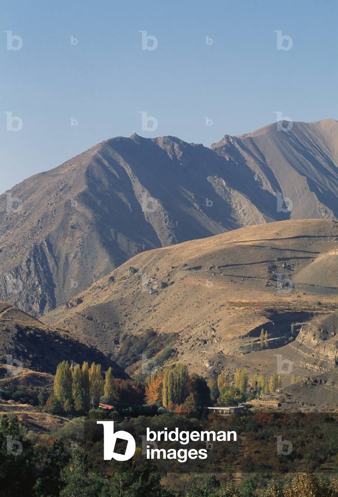 Image of Vegetation, Alborz Mountain Range, Northern Iran (photo)