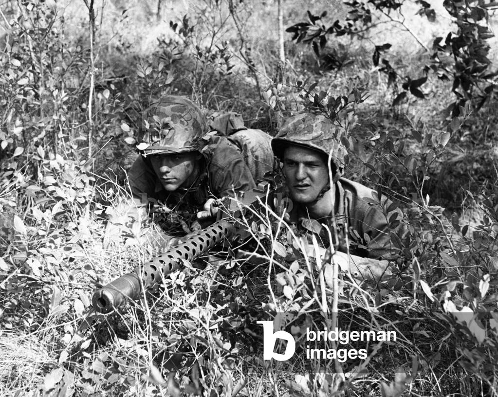 Army soldiers with an air-cooled machine gun hiding behind bushes, US ...