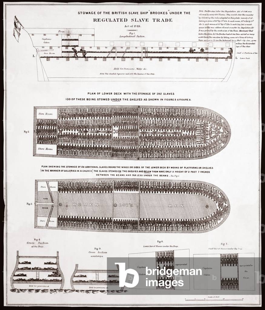 Image of Stowage of the British Slave Ship 'Brookes' Under the ...