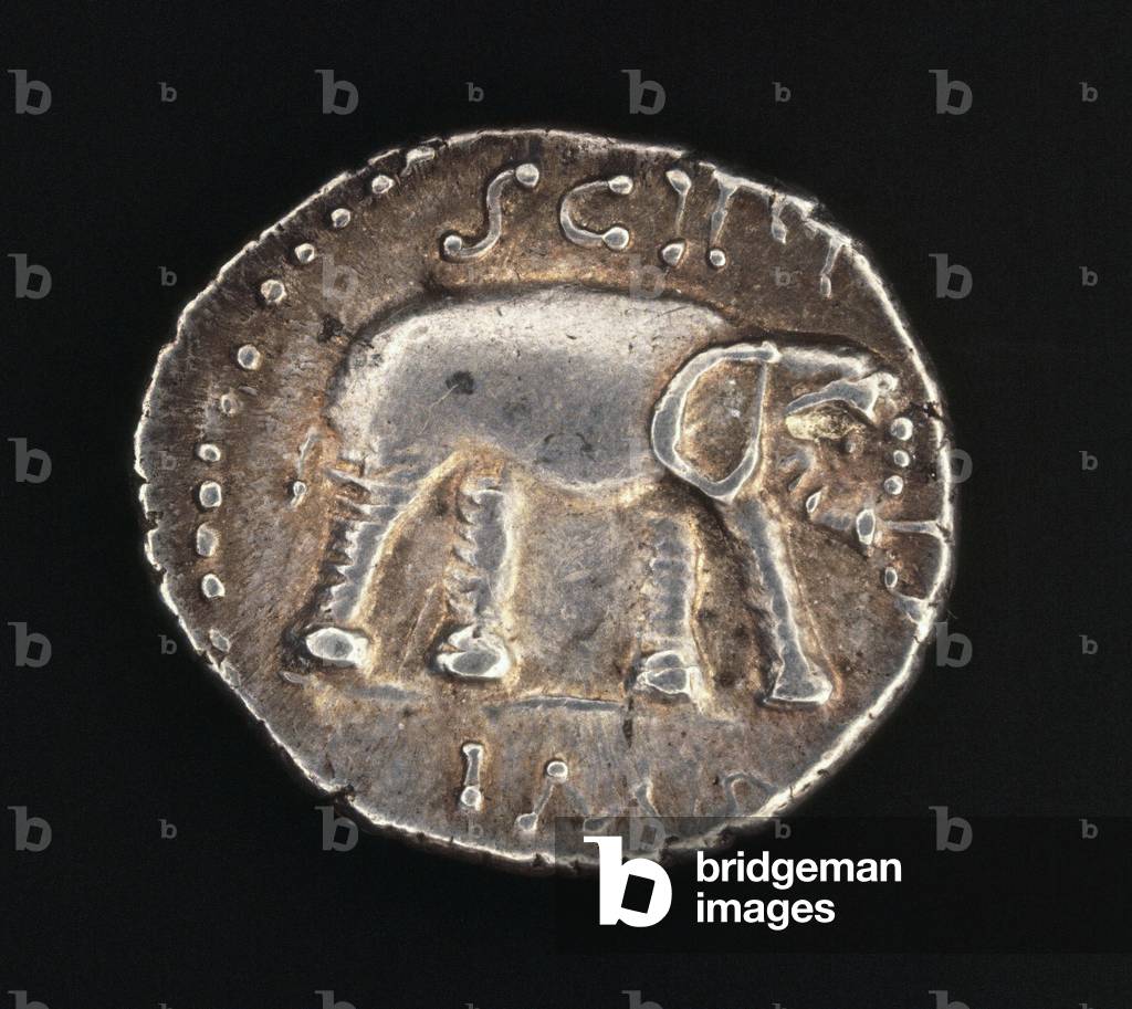 Image of Denarius depicting elephant, symbol of Scipios family, Roman ...