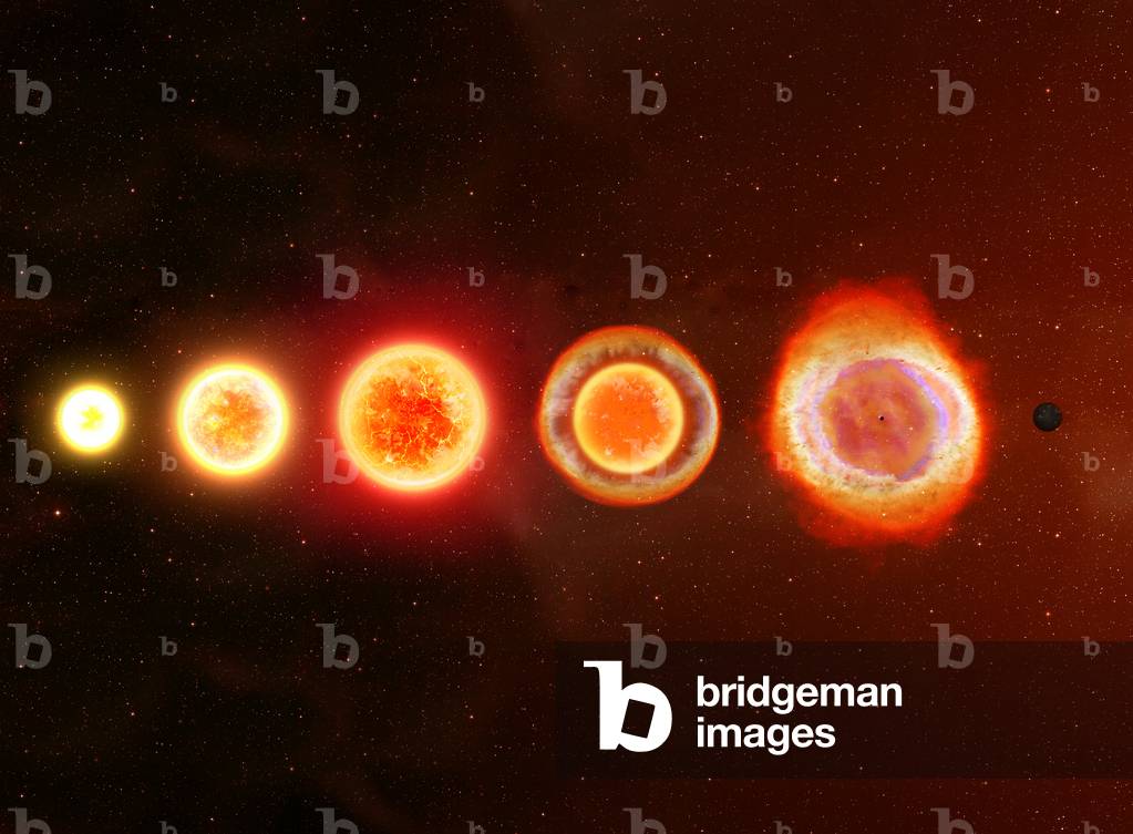 Image of Life Cycle Of The Sun, 2015 (digital illustration) by Roetsch ...