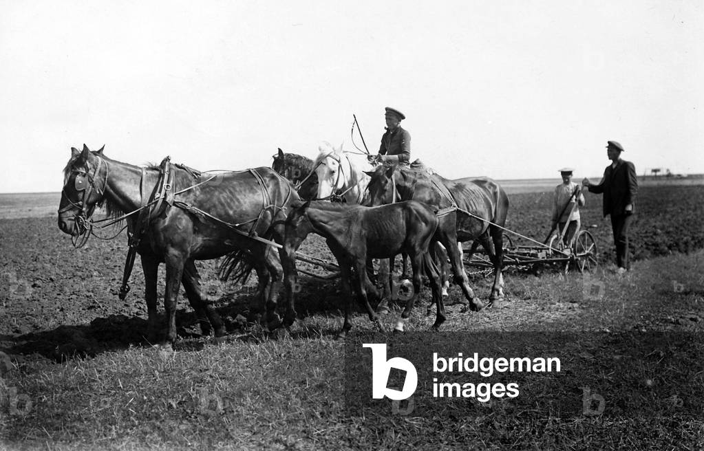 Image of Child labour in the field