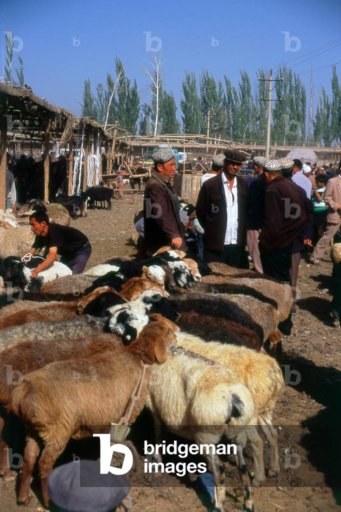 Image of China: Fat-tailed sheep at the Livestock Market, Kashgar ...