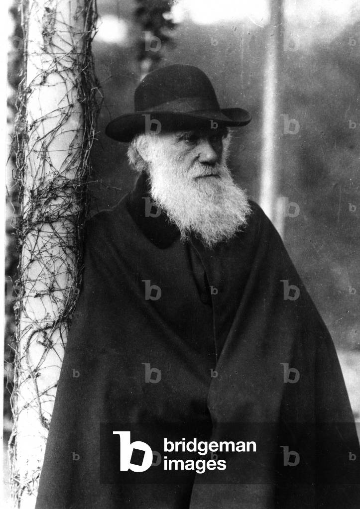 Image of Portrait of Charles Darwin in cloak and hat