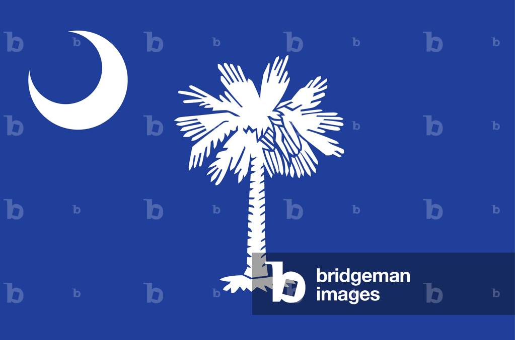 Com South Carolina State Flag South Carolina State Applique Garden