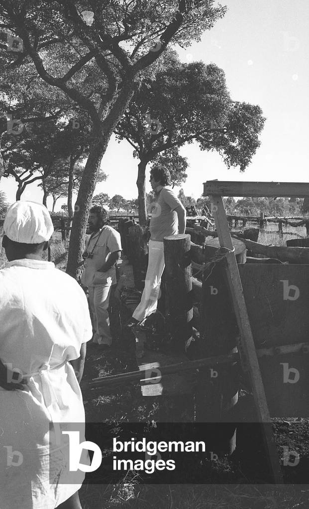 Image of Farmers and labourers at cattle farm in Rhodesia, 1976 (b/w by ...