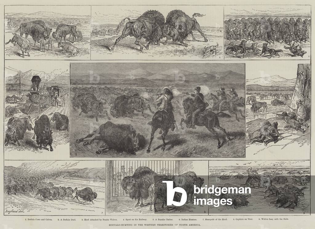 Image of Buffalo-Hunting in the Western Territories of North America ...
