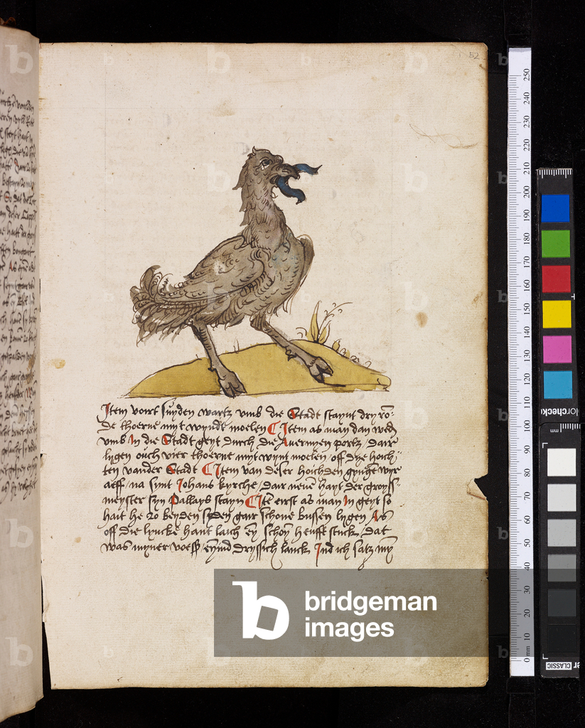 Image of The Travels of Arnolt van Harff, 1554 (coloured drawing on